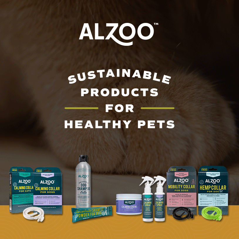 Cat Influencers Archives - Pupfluence