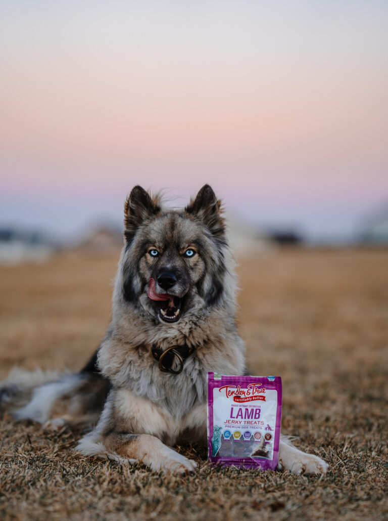 UGC Examples - Pupfluence