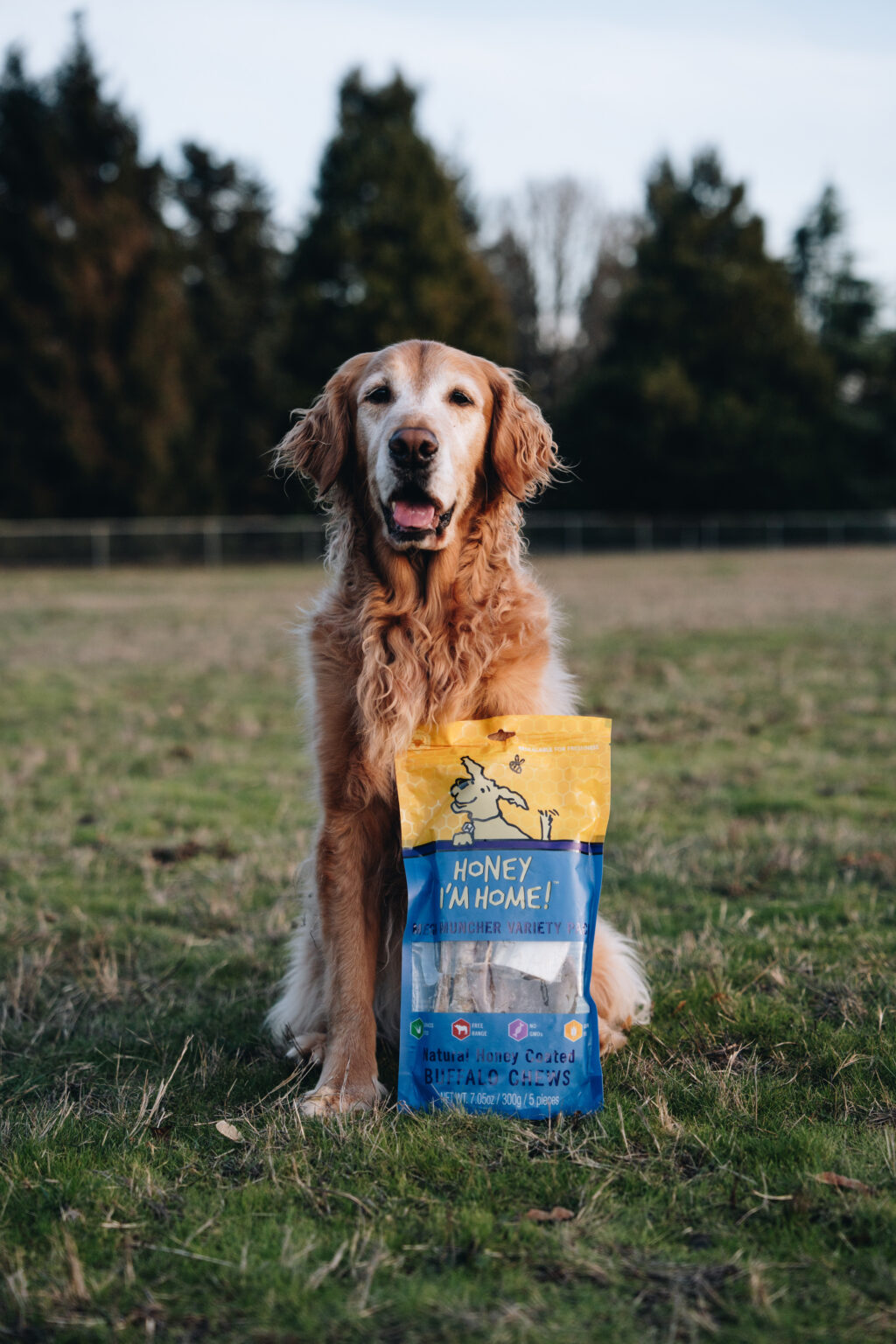 UGC Examples - Pupfluence